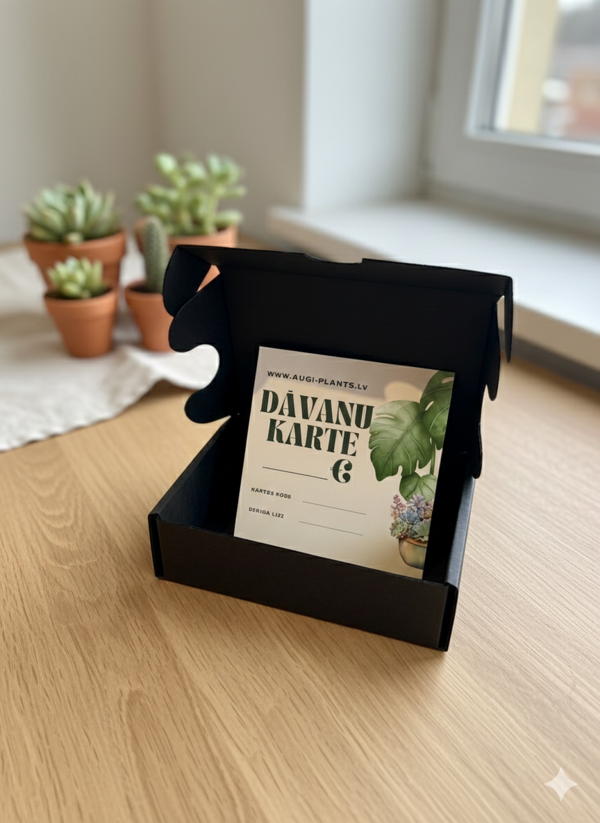 Telpaugi un istabas augi mājai un ofisam | Augi-plants.lv – www.augi ...